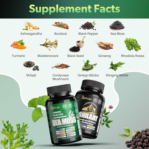 Shilajit and turmeric for joint support