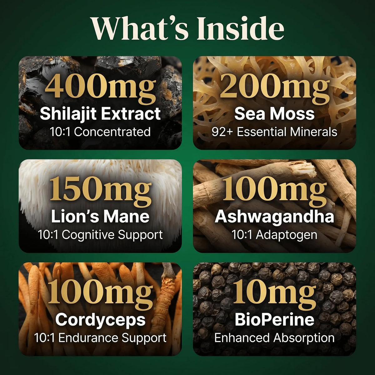 Shilajit blend for immune support