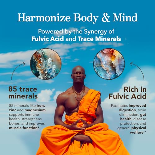 shilajit capsules for active lifestyle
