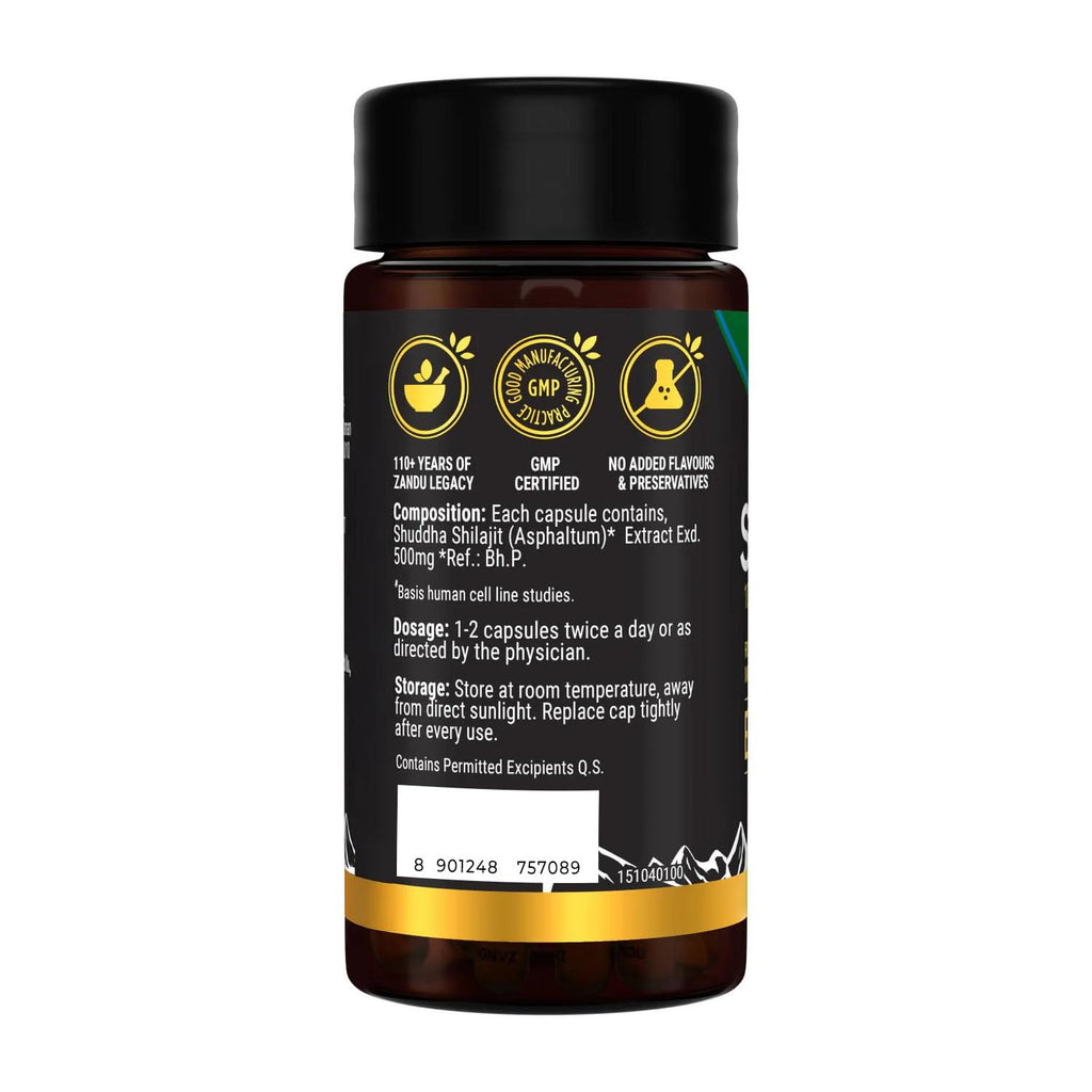shilajit capsules for better recovery