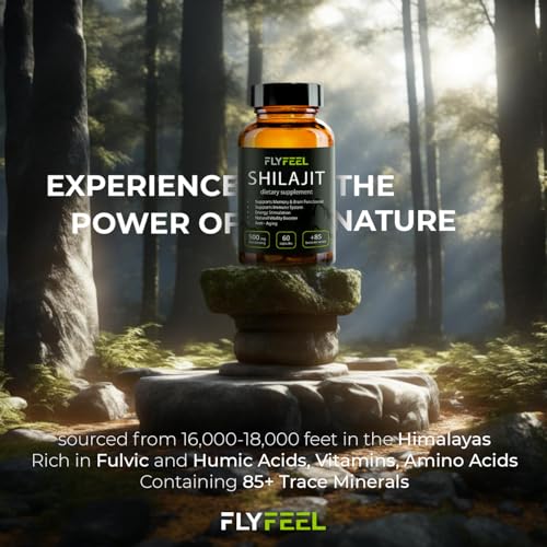 shilajit capsules for cognitive support