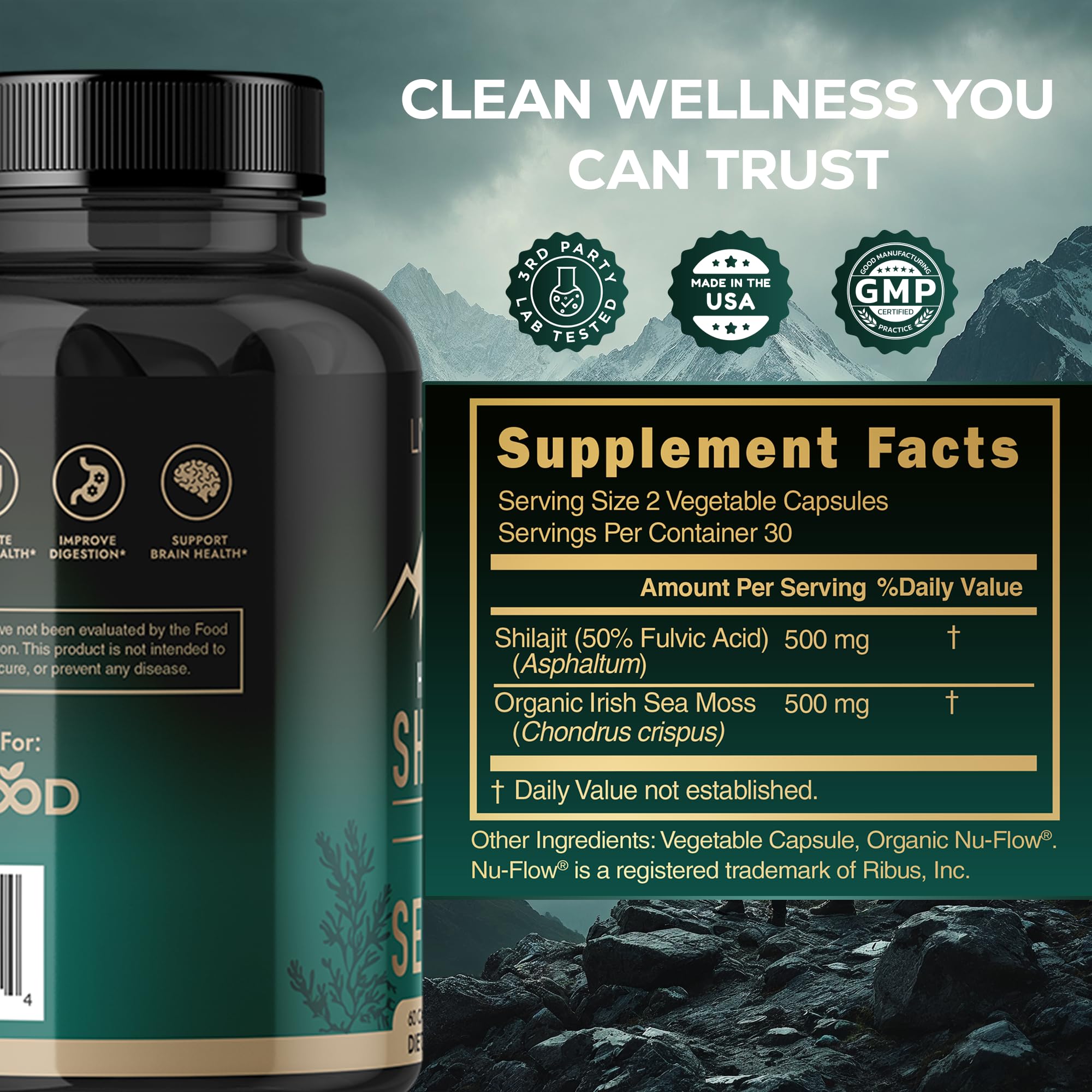 Shilajit capsules for daily health boost