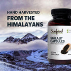 shilajit capsules for daily health
