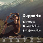 shilajit capsules for daily health