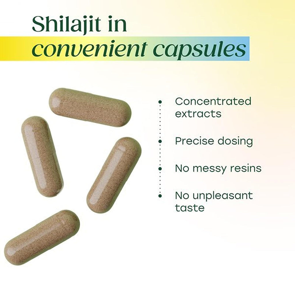 shilajit capsules for daily health