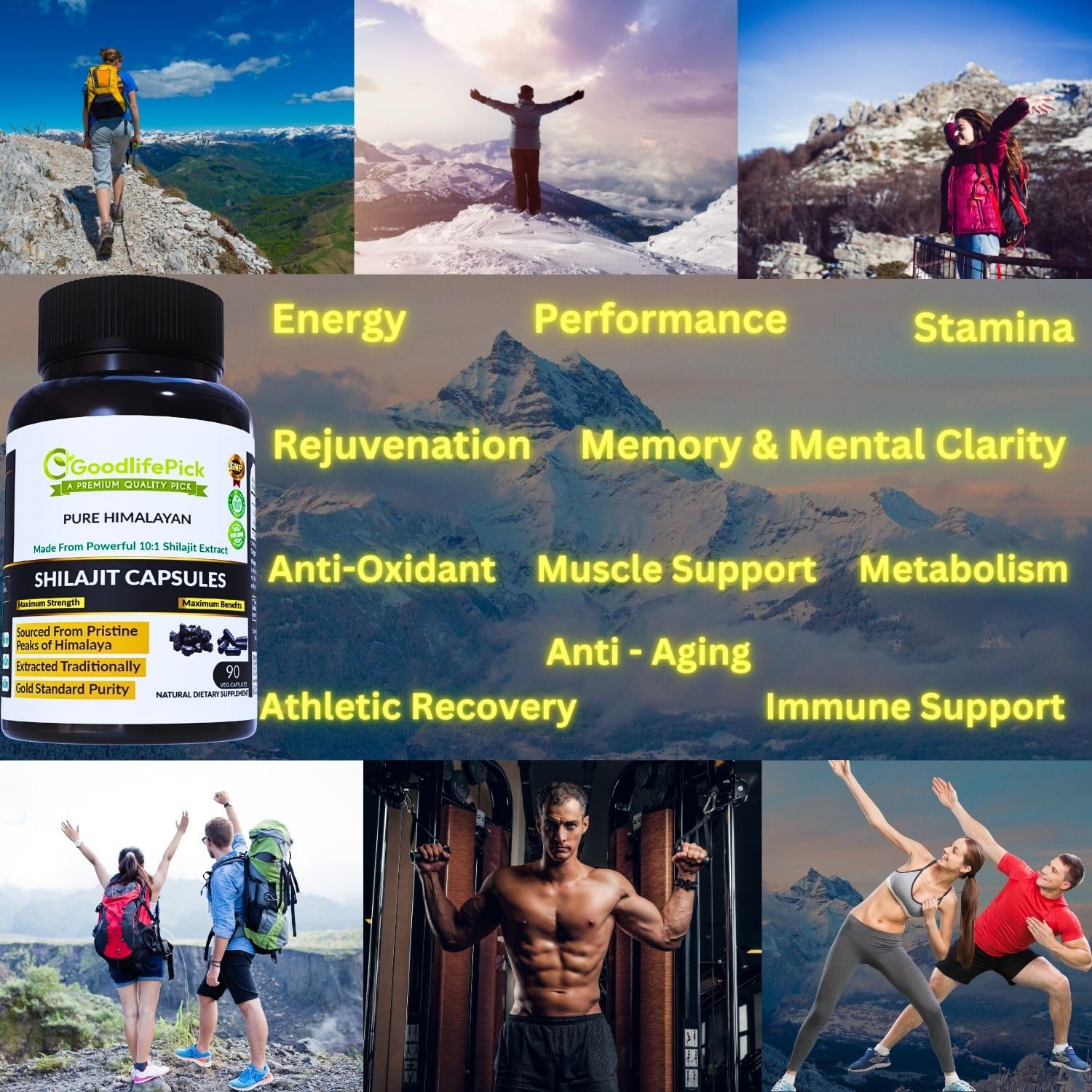 shilajit capsules for daily health