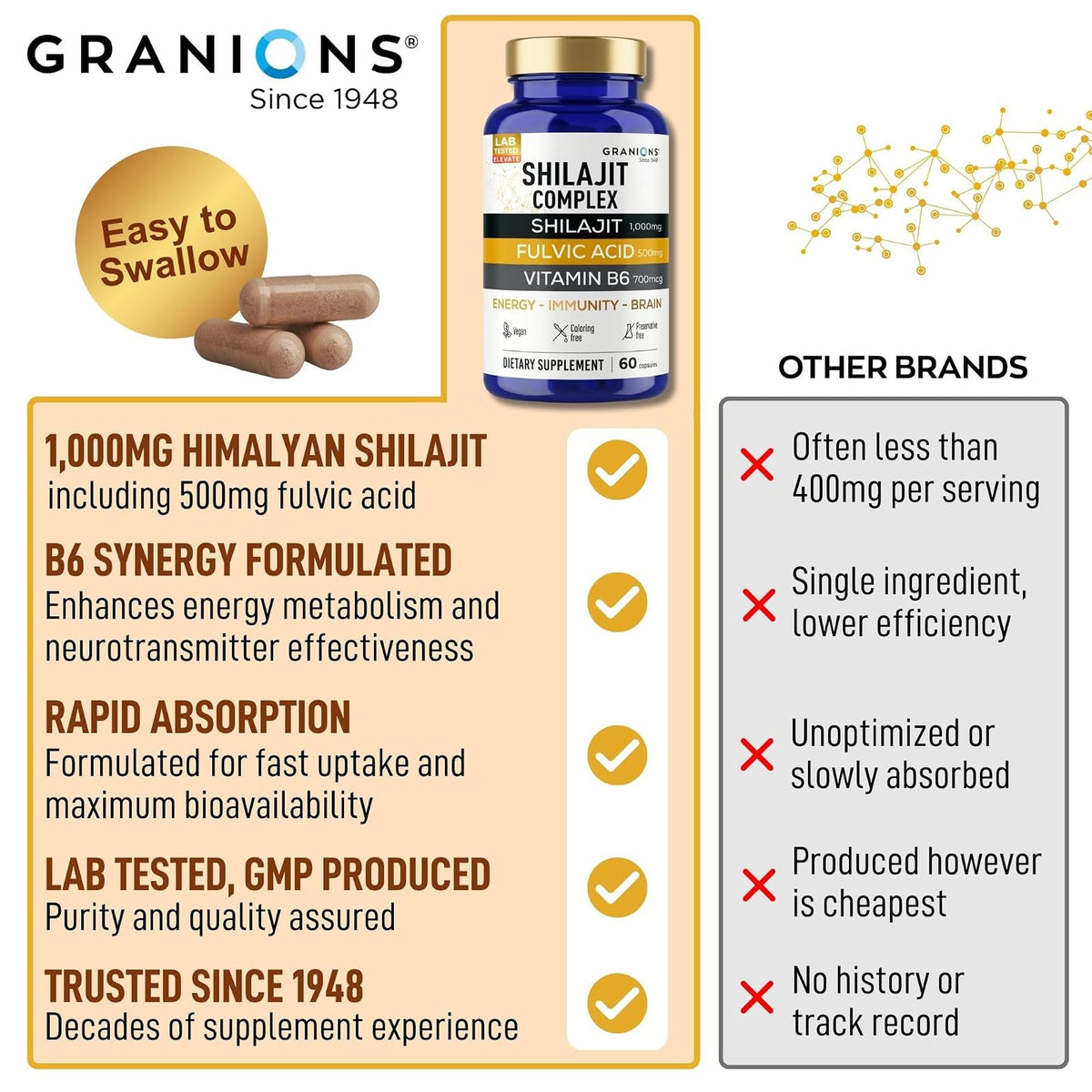 shilajit capsules for daily health