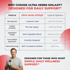 shilajit capsules for daily health