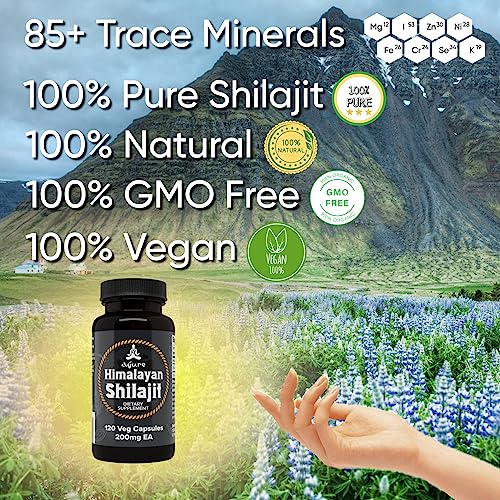 shilajit capsules for daily nutrition