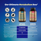 shilajit capsules for daily nutrition