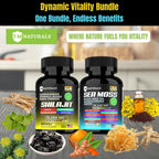 Shilajit capsules for daily nutrition