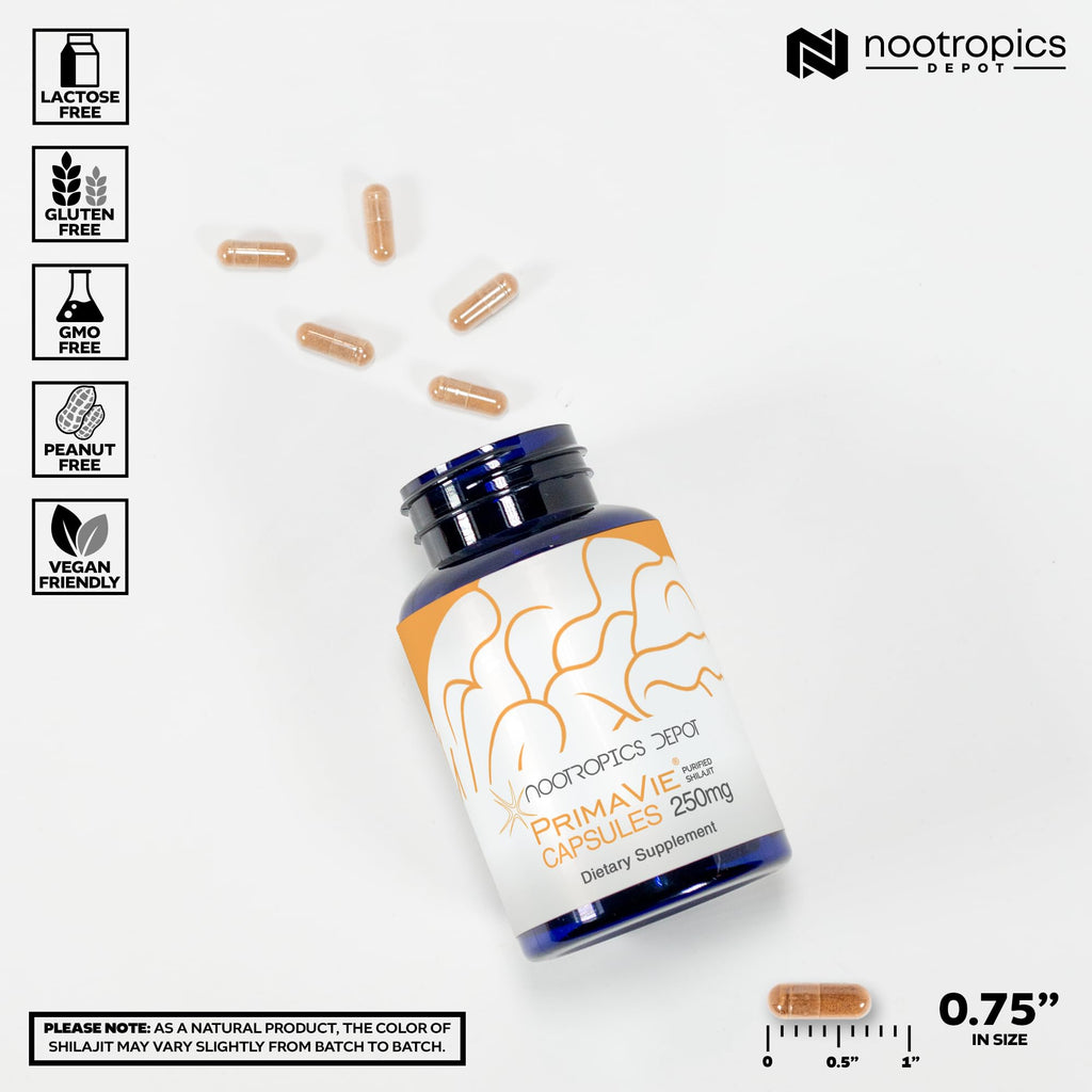 shilajit capsules for daily wellness