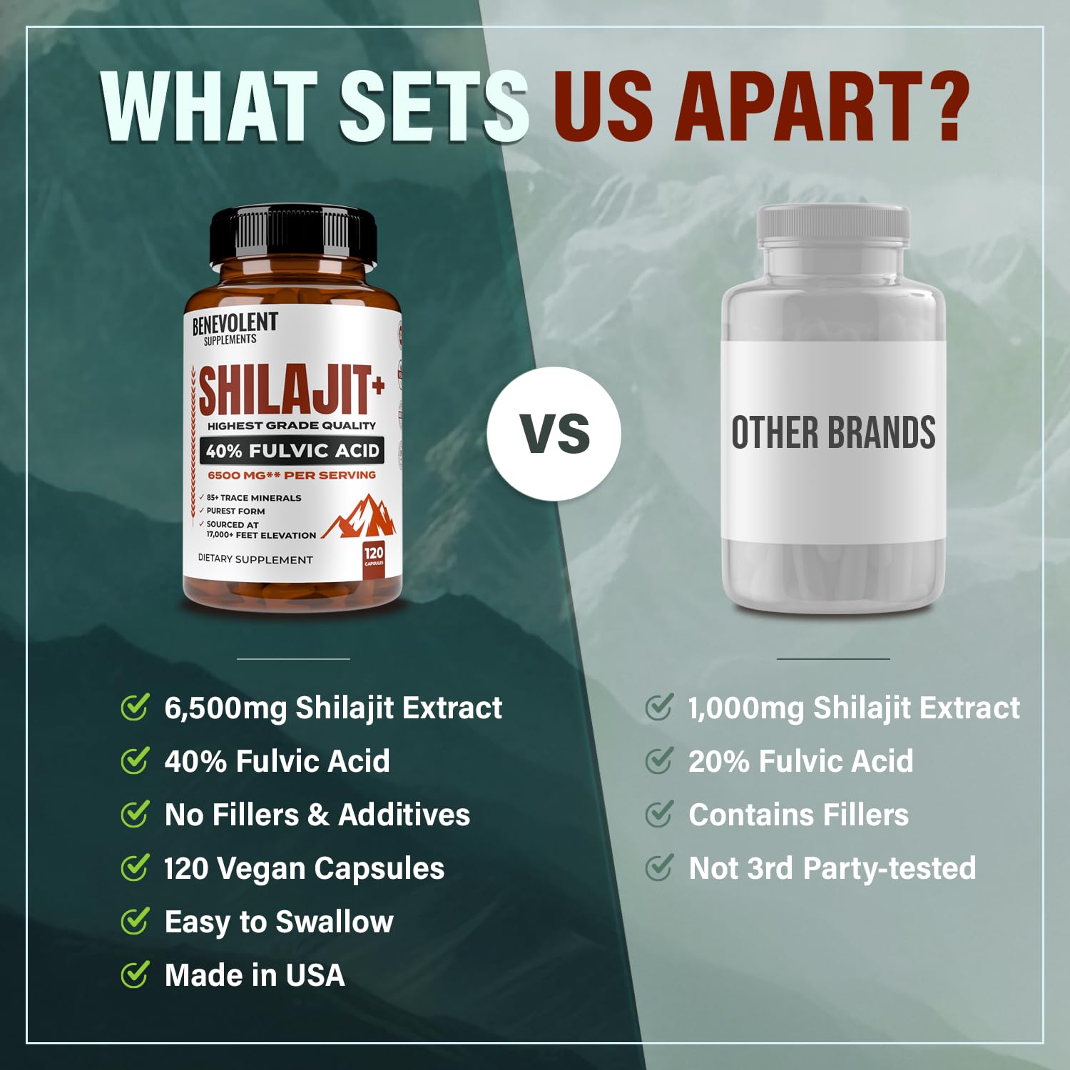 shilajit capsules for daily wellness