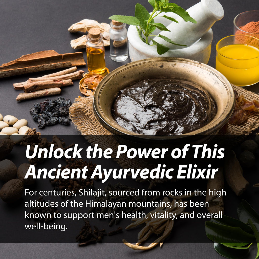 shilajit capsules for daily wellness