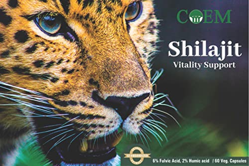 shilajit capsules for daily wellness