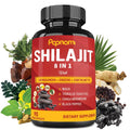 shilajit capsules for energy boost
