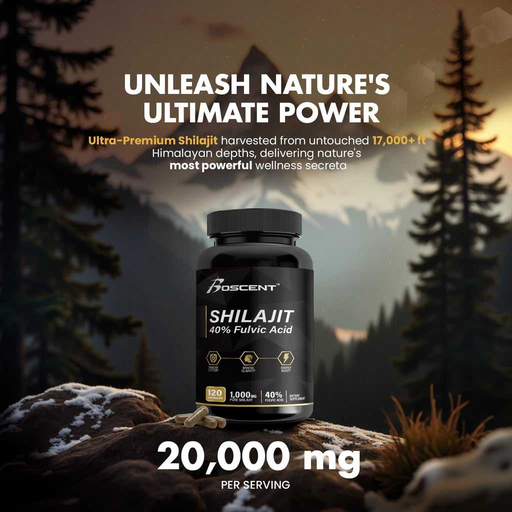 shilajit capsules for energy boost