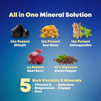 shilajit capsules for enhanced performance