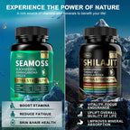 shilajit capsules for enhanced performance
