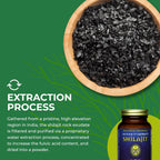 shilajit capsules for enhanced wellness