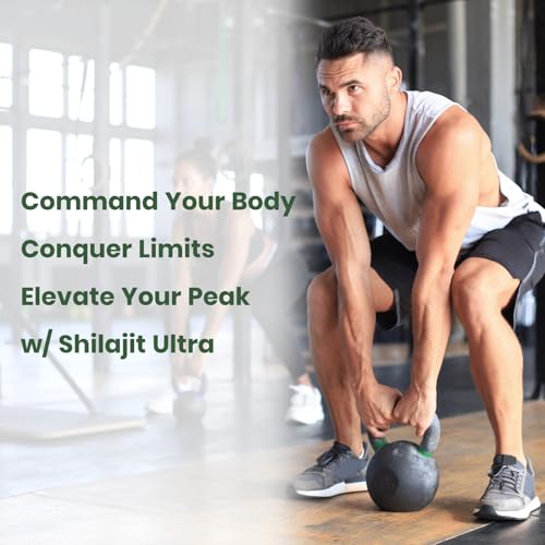 shilajit capsules for holistic health