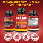 shilajit capsules for immune support