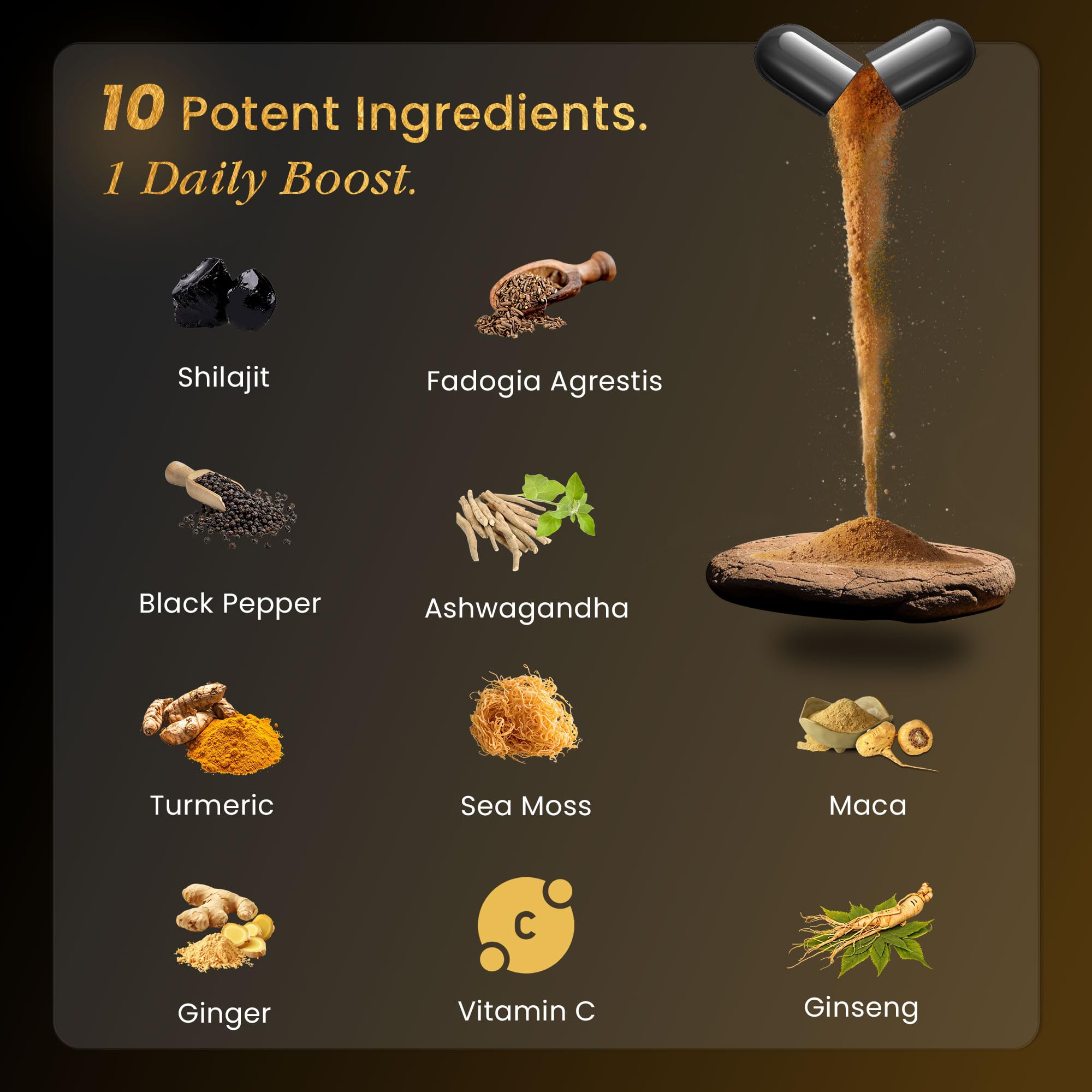 shilajit capsules for immune support