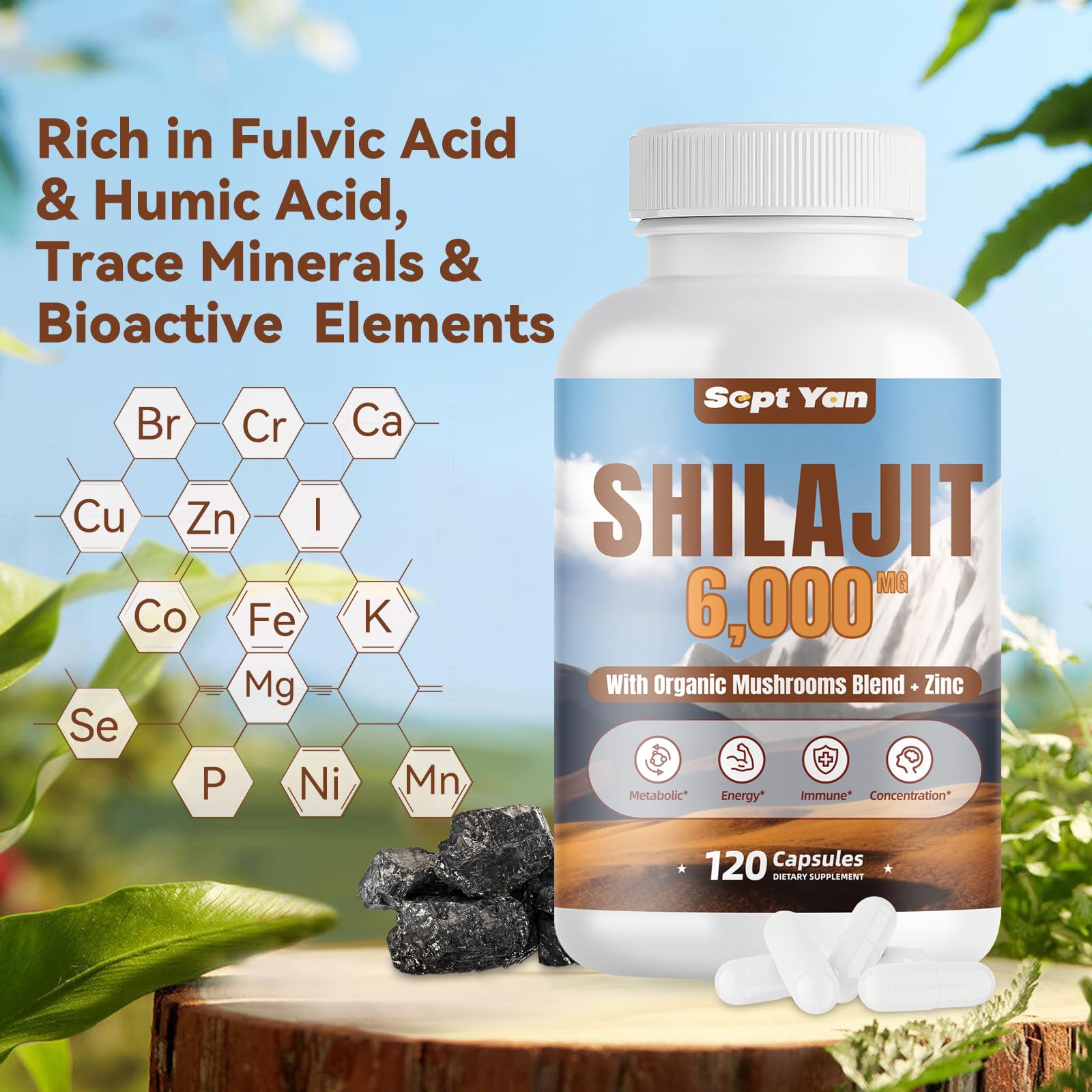 shilajit capsules for mental clarity