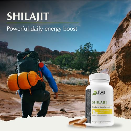 shilajit capsules for mental clarity