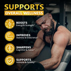 shilajit capsules for stress relief