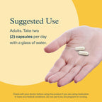 shilajit capsules for wellness