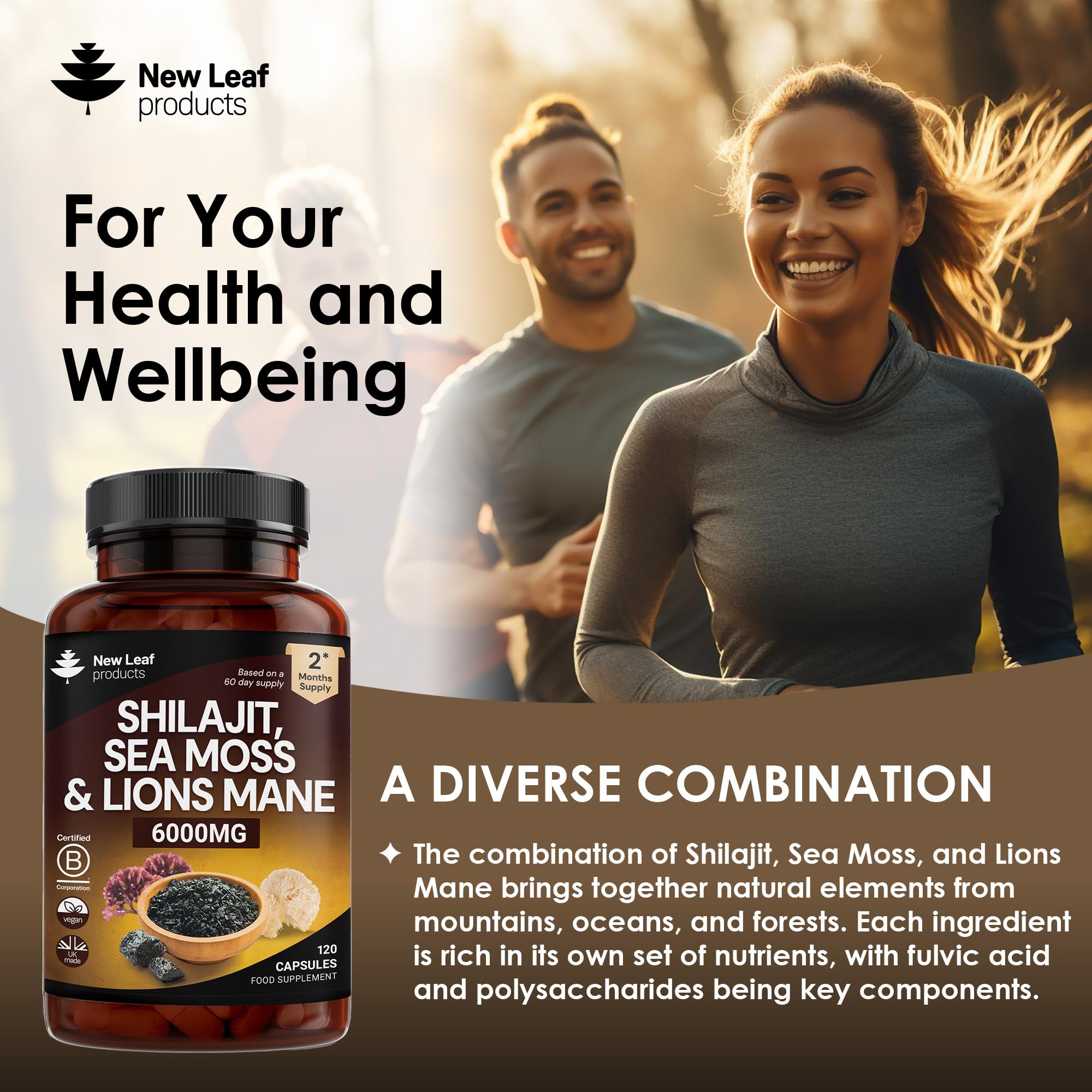 shilajit capsules for wellness