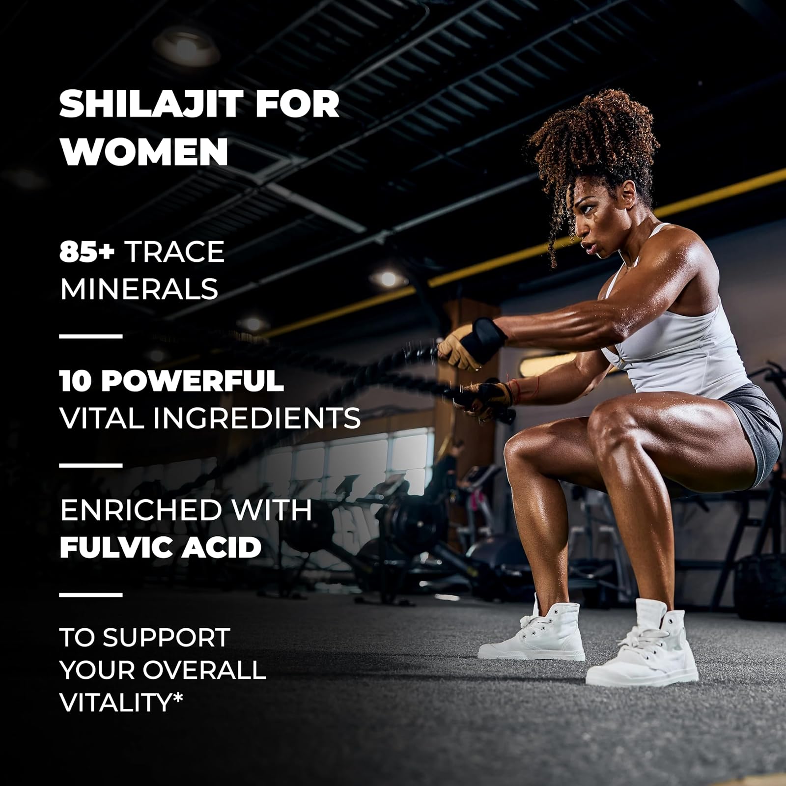shilajit capsules for wellness