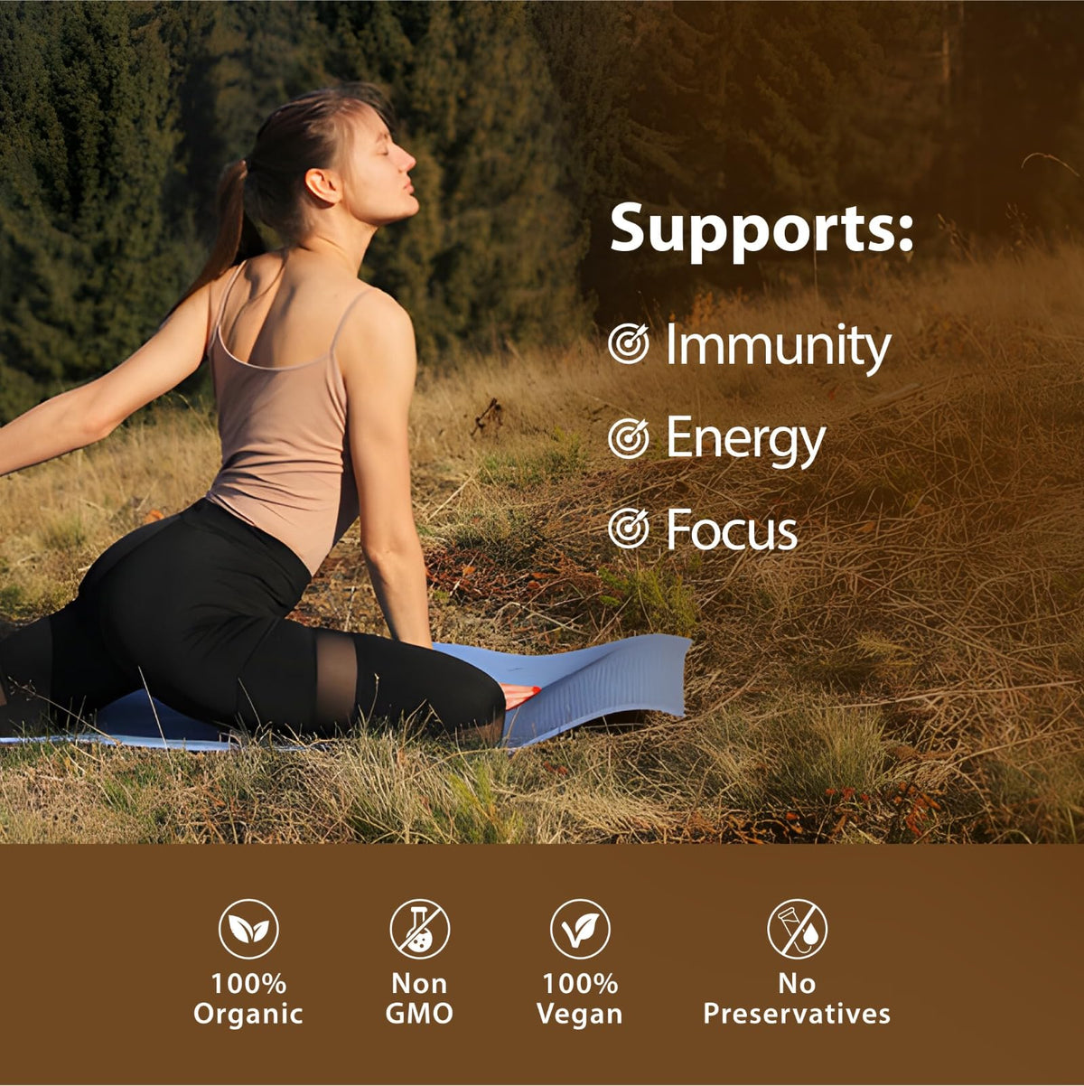 shilajit capsules for wellness