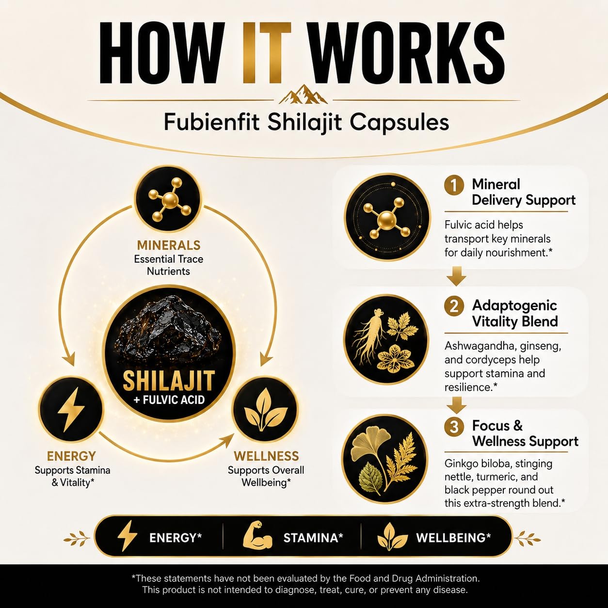 shilajit capsules with fulvic acid support