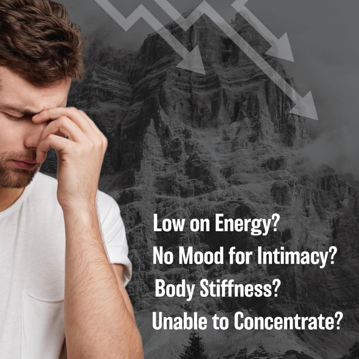 shilajit capsules with fulvic acid