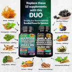 shilajit complex for energy boost