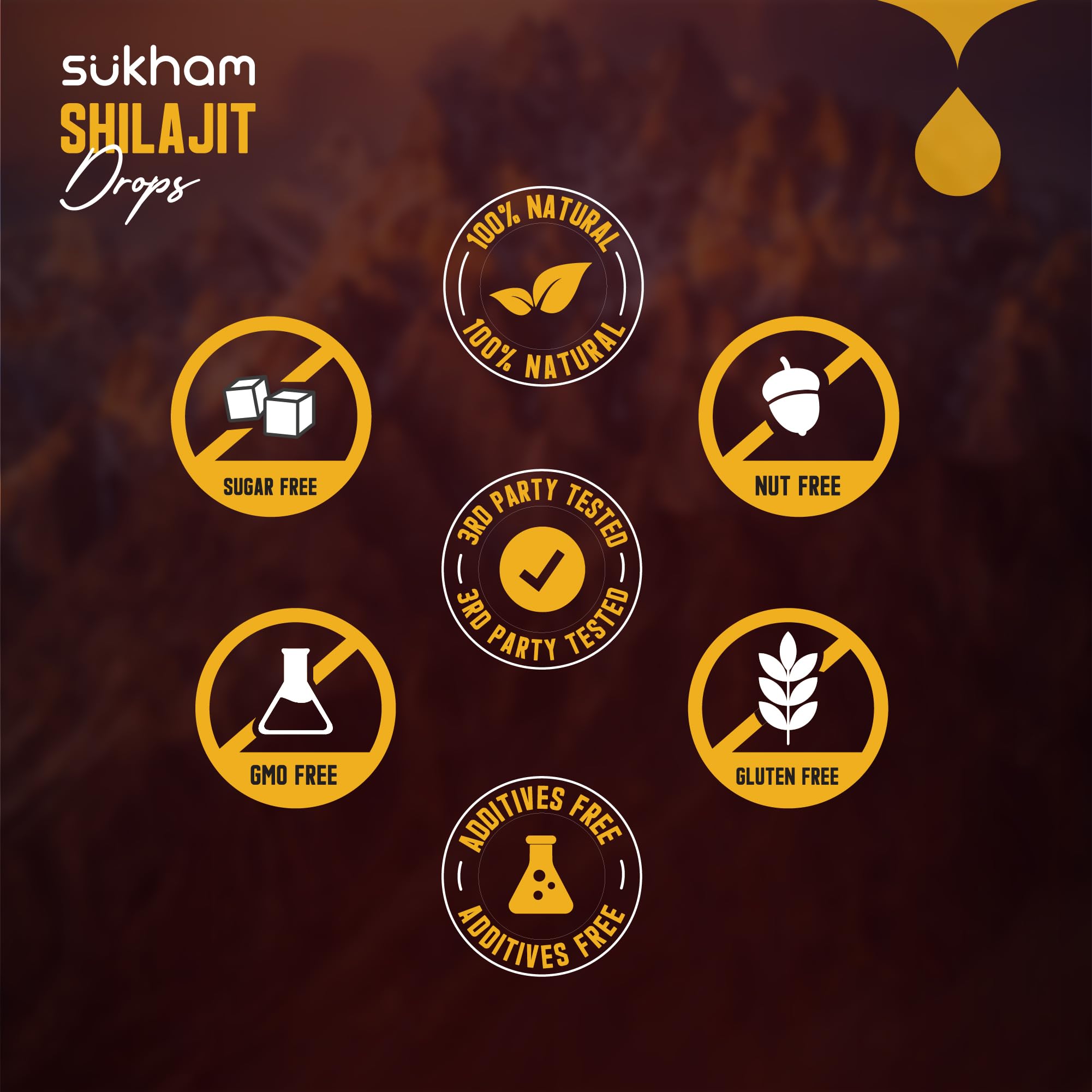 Shilajit drops for daily wellness