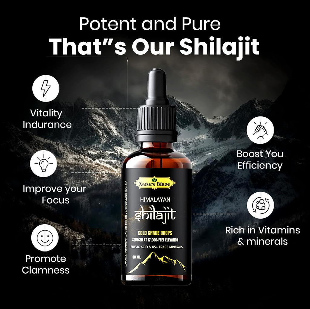 shilajit extract for daily energy