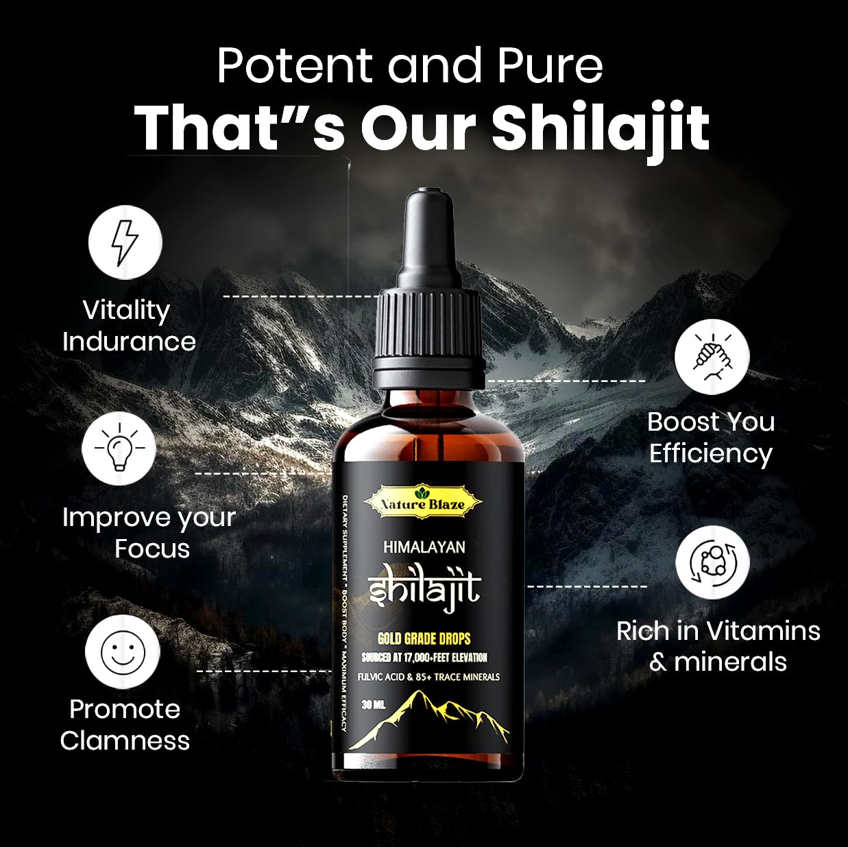 shilajit extract for daily energy