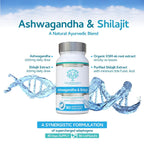 shilajit extract for energy boost