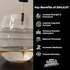 Shilajit extract for enhanced performance
