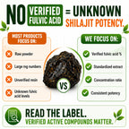 shilajit extract for immune support