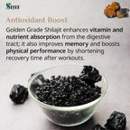 shilajit extract for vitality
