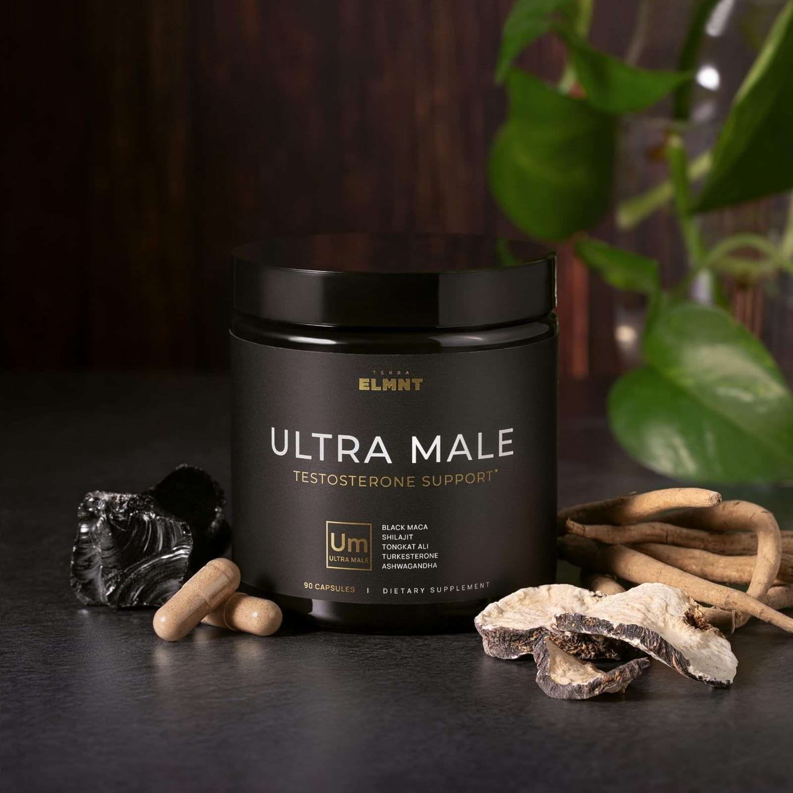 Shilajit extract for vitality