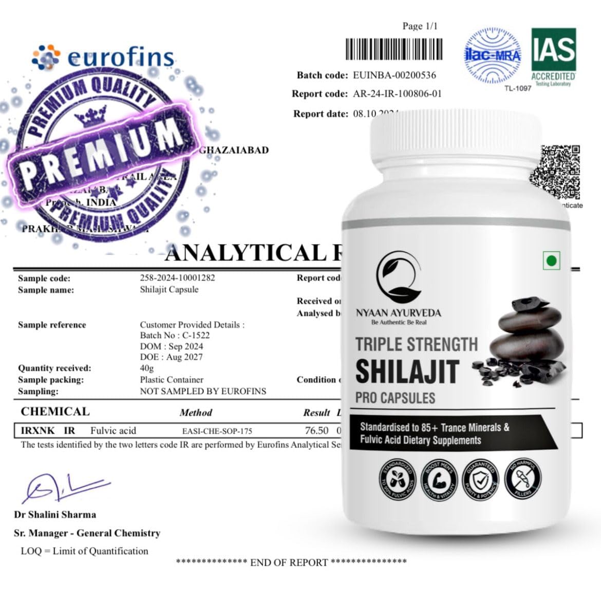 shilajit for balanced energy levels