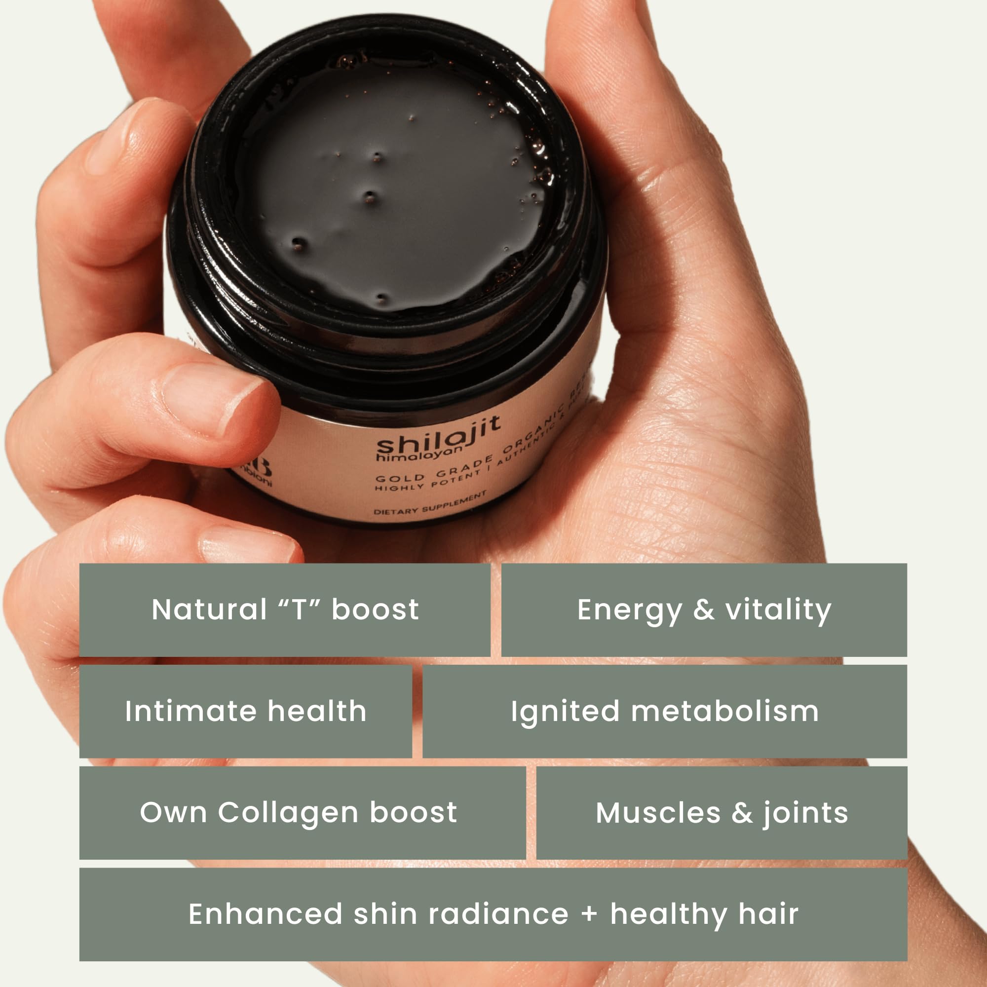 shilajit for better nutrient absorption
