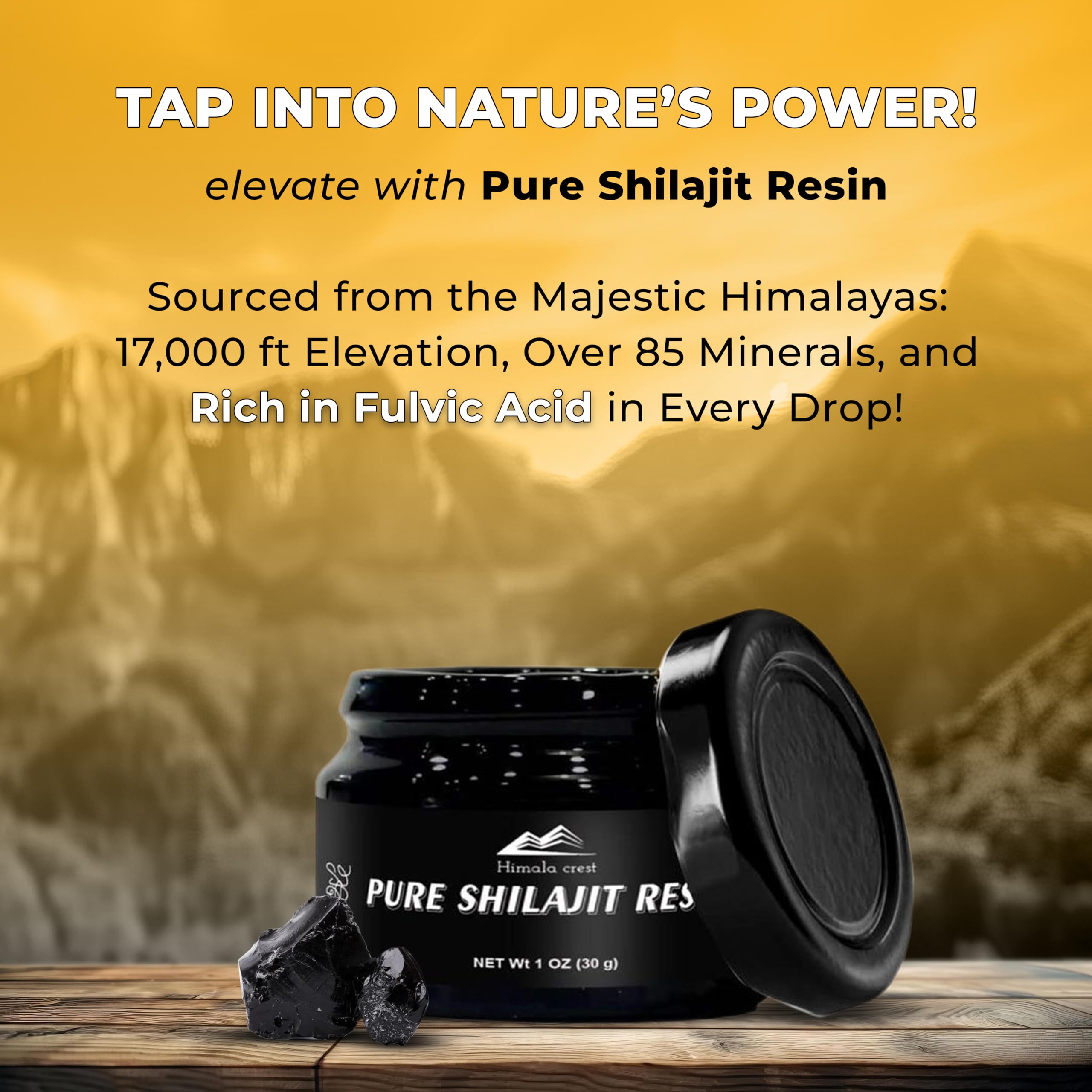 shilajit for better nutrient absorption