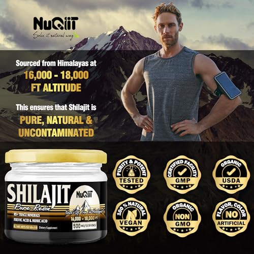 shilajit for better nutrient absorption
