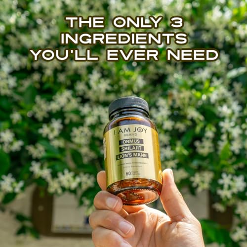 Shilajit for cognitive function
